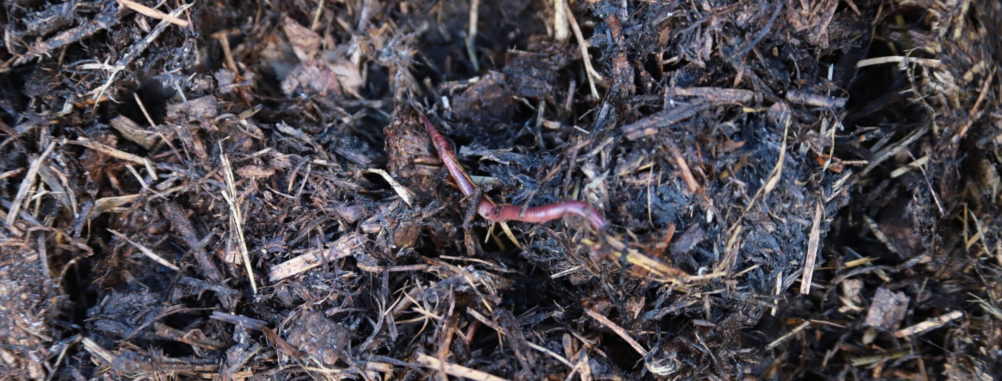 Vil du blive klogere på kompost? | Agrovi